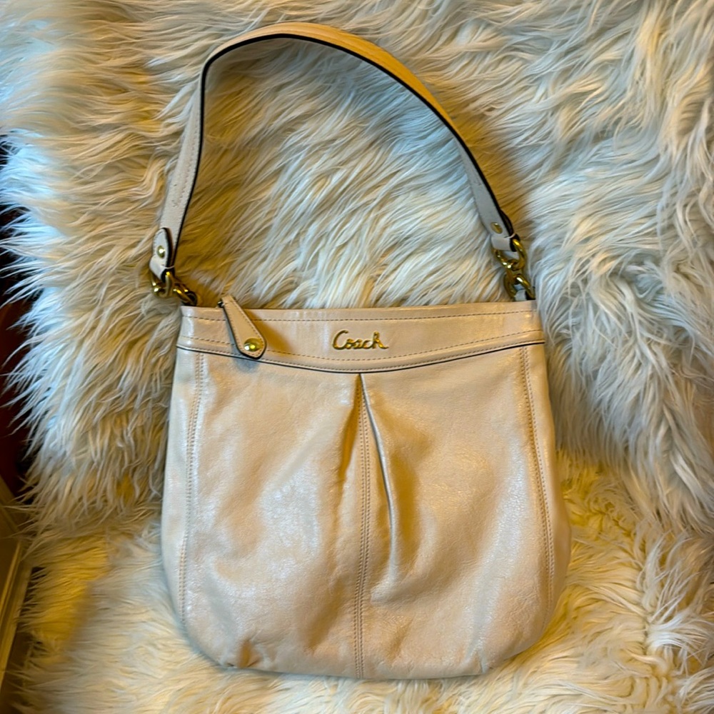 Coach Ashley Putty Stone Leather Bag - Gem